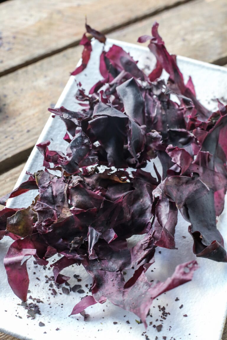 Unsere Meeresalgen – Lofoten Seaweed | From Lofoten, Weed Love.