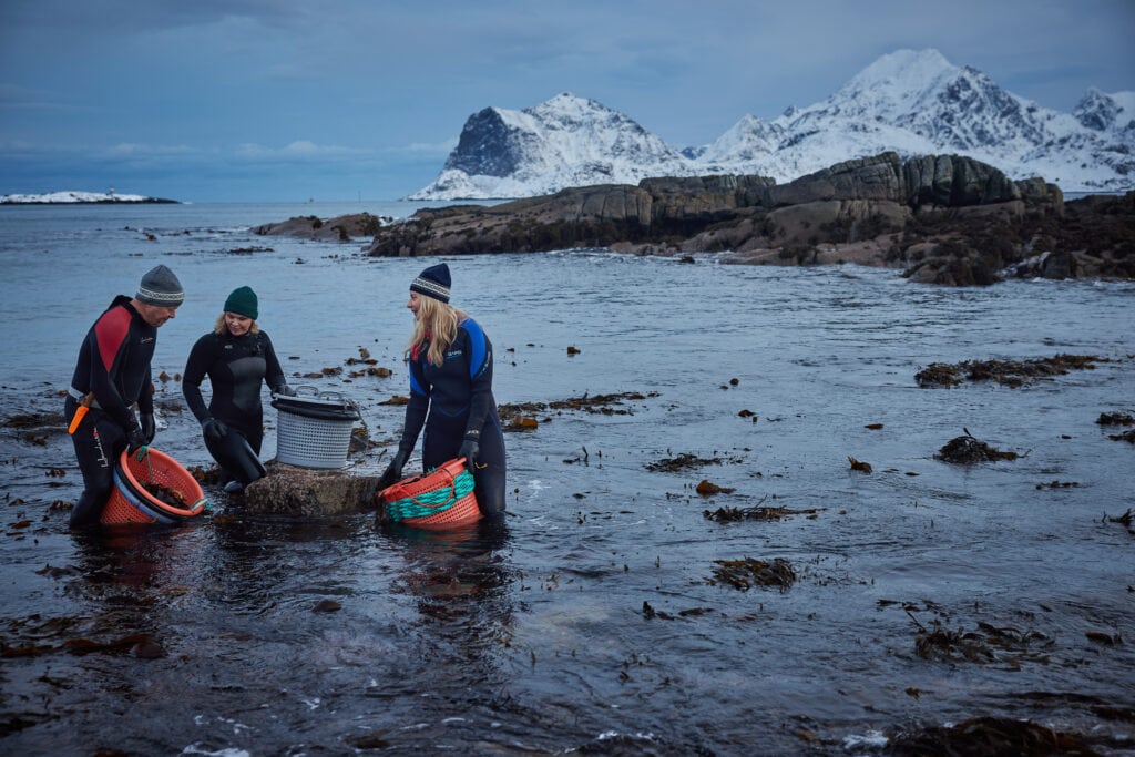 People of the North: 5 exciting hours of Scandinavian life!